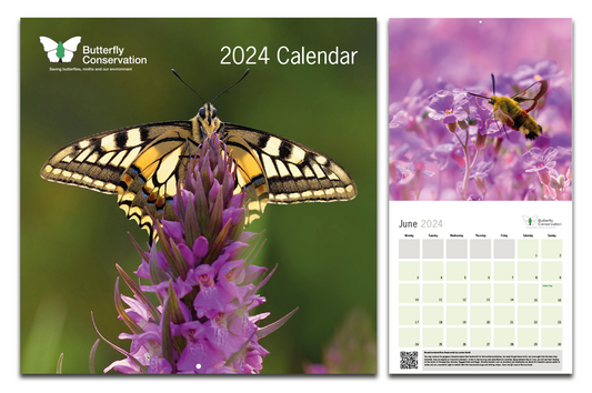 Christmas Products – Butterfly Conservation